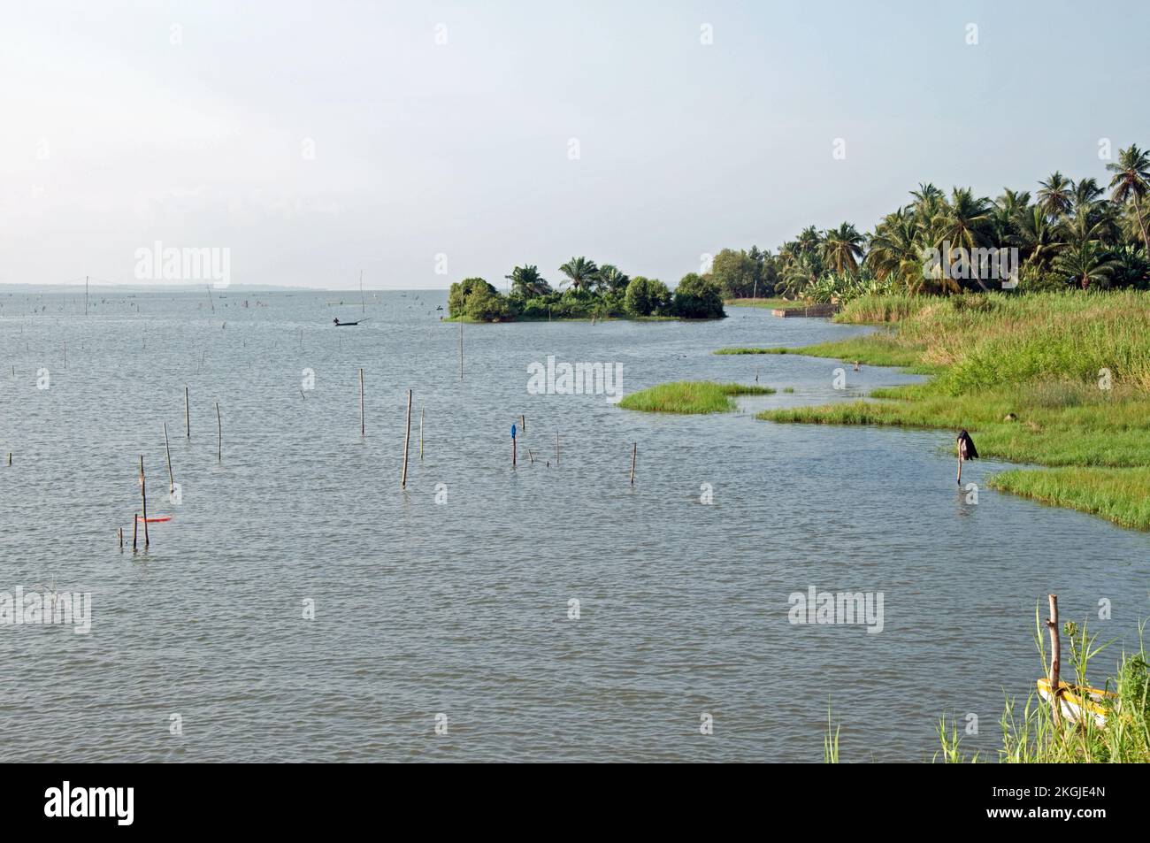 View of Lake Aheme, Benin. Lake Aheme is a Voodou Centre in Benin, but ...
