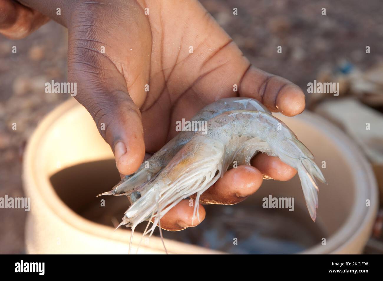 Voodou centre hi-res stock photography and images - Alamy