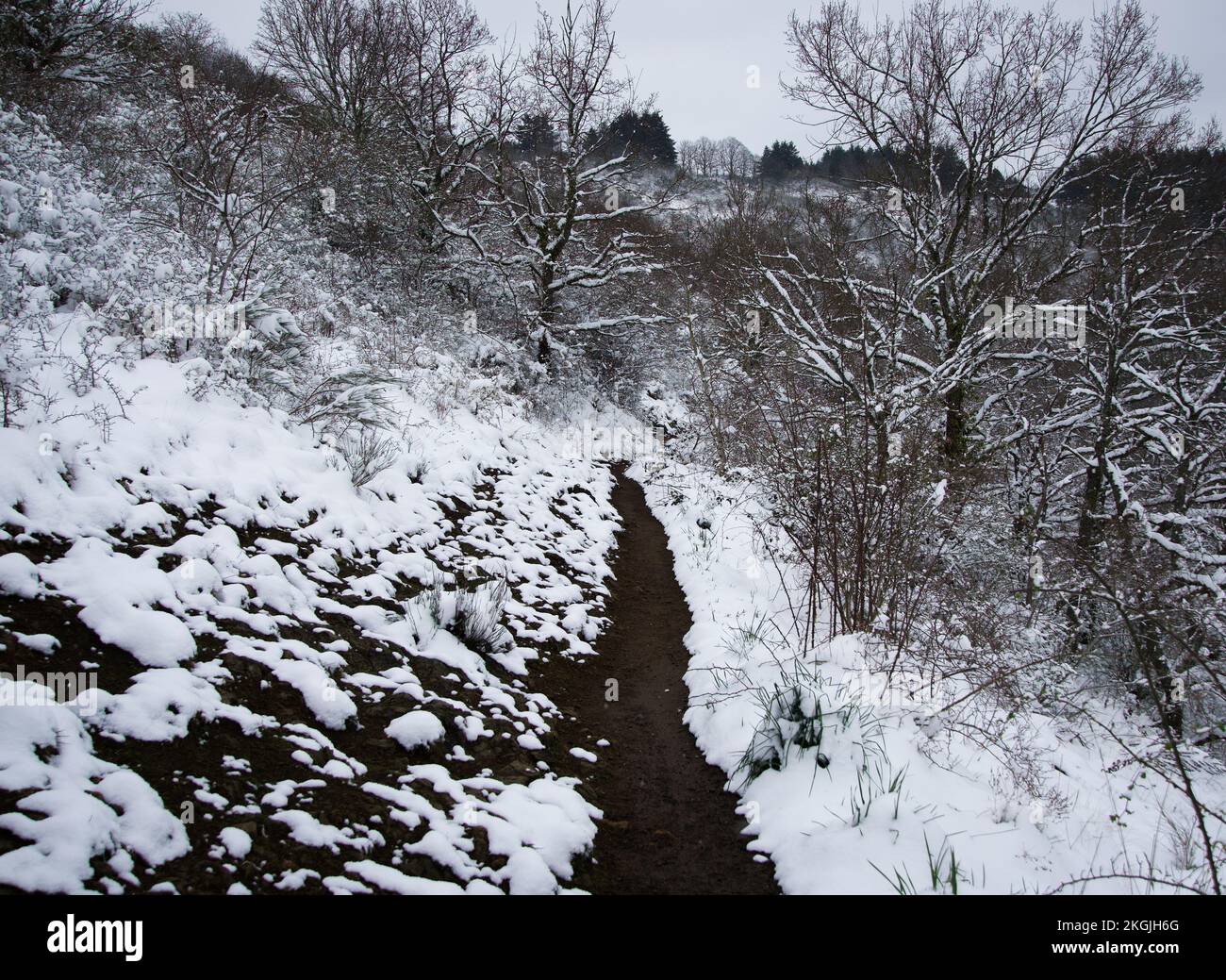 A narrow pathway through the snowy hill Stock Photo - Alamy
