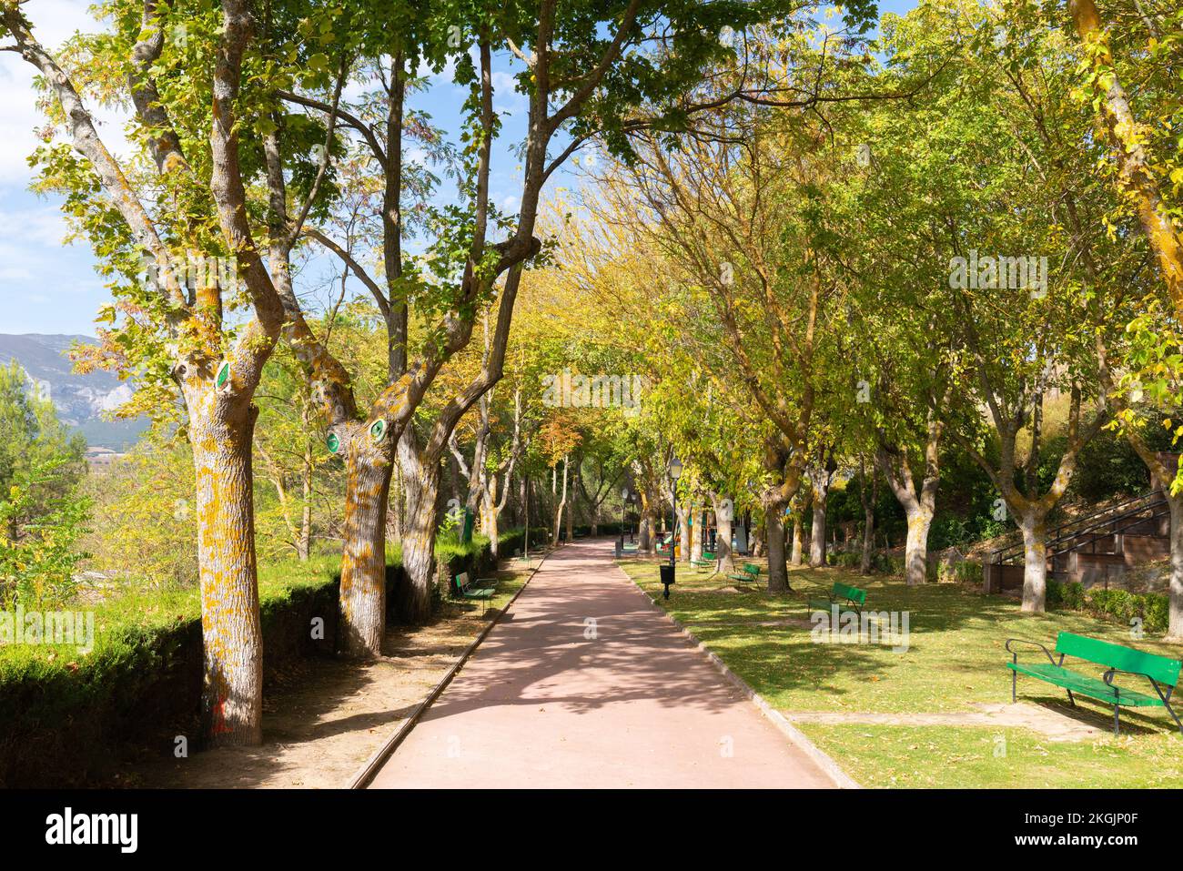 Laguardia Spain beautiful trees on path on walk around the hilltop in ...