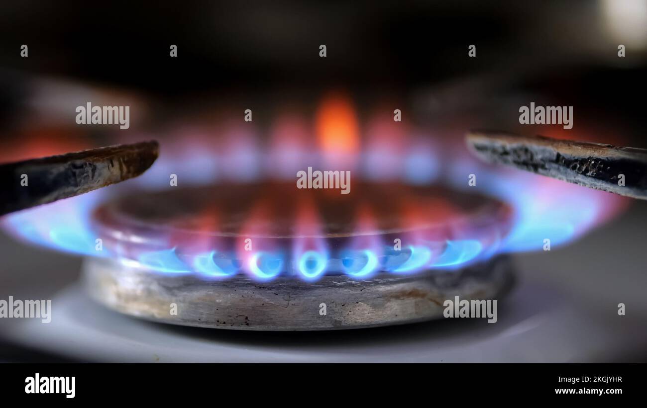 Gas burner with bright red and blue flames on kitchen stove on dark ...