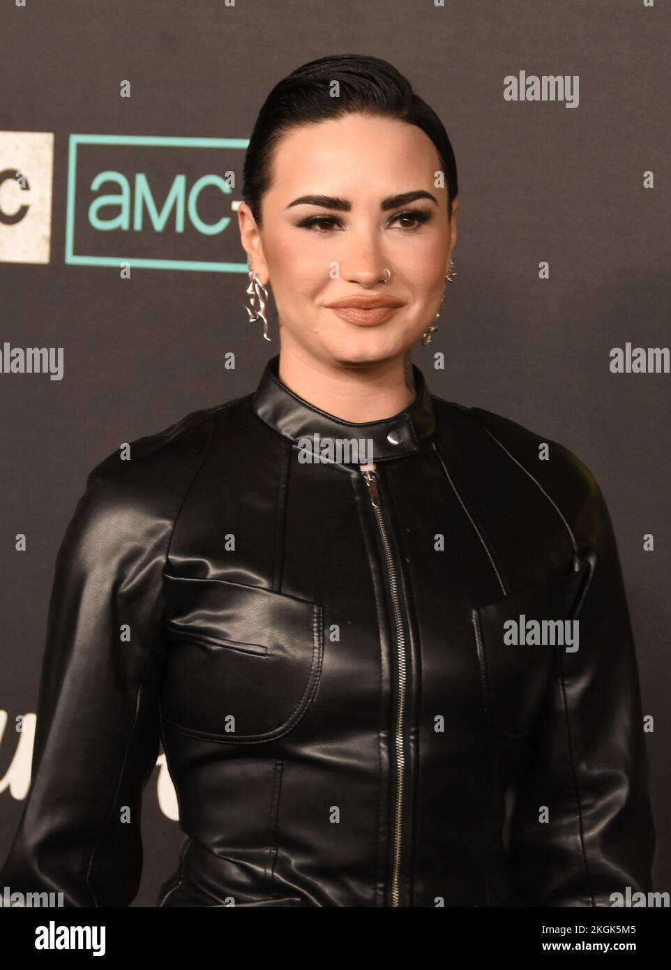 Demi lovate hi-res stock photography and images - Alamy