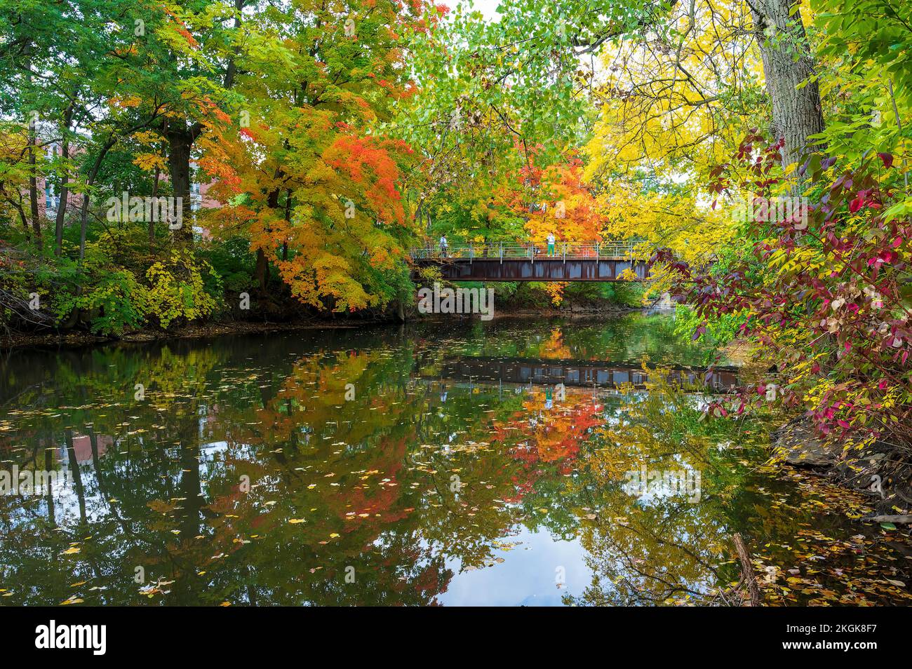Majestic colours hi-res stock photography and images - Alamy