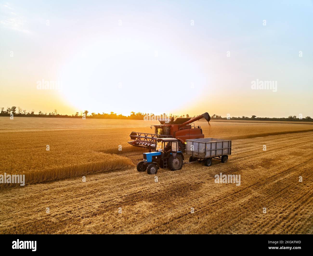 Aerial of overloading grain from combine harvester to grain box trailer ...
