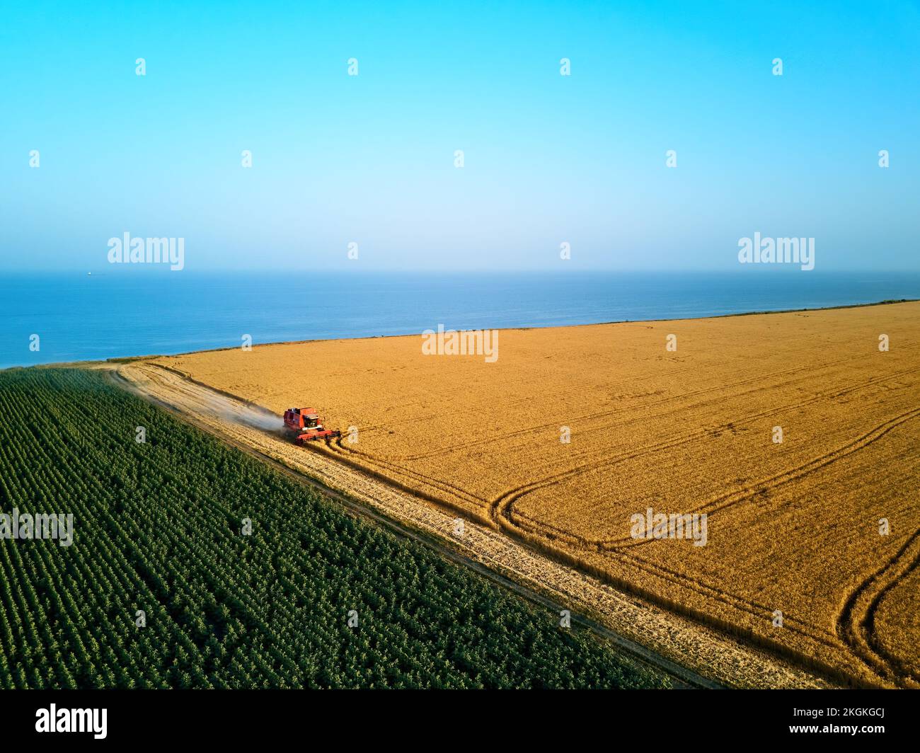 Aerial of red combine harvester working in wheat field near cliff with ...