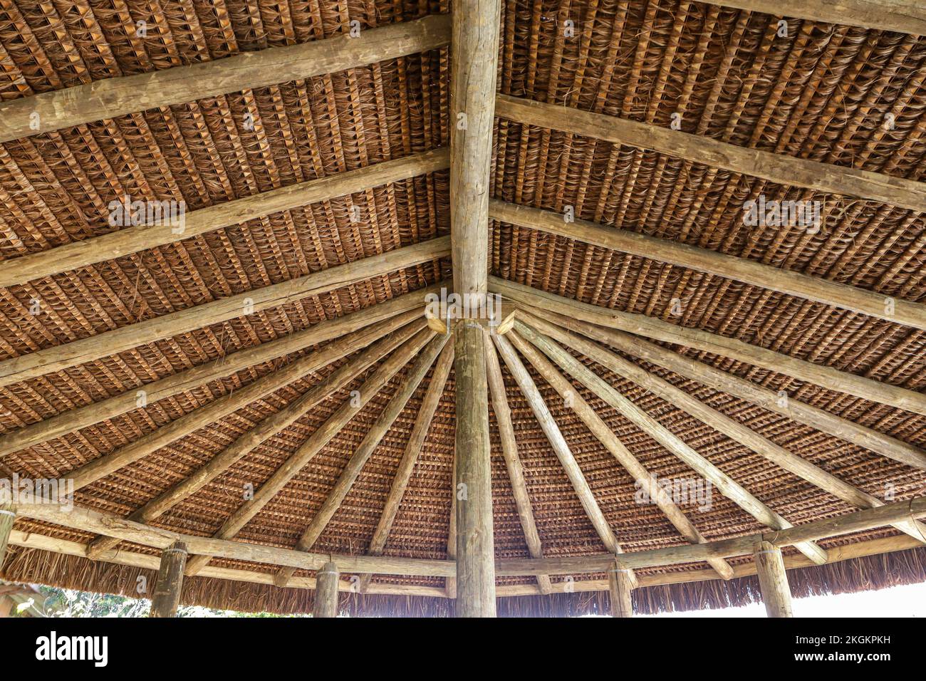 Structure of a roof with piassava, seen from the bottom up, showing its ...