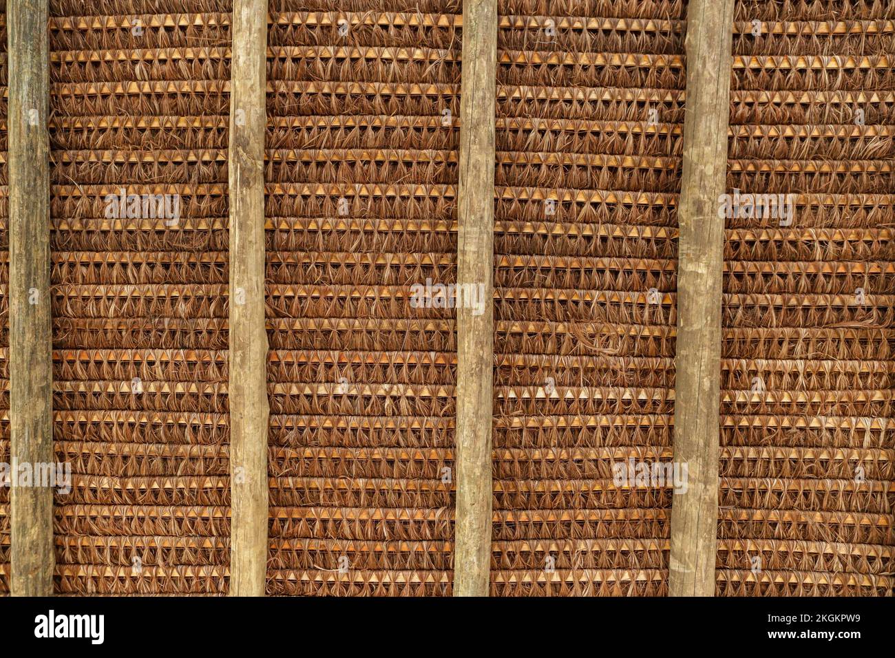 Structure of a roof with piassava, seen from the bottom up, showing its ...