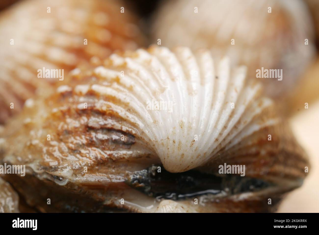 Dolly shot hi-res stock photography and images - Alamy