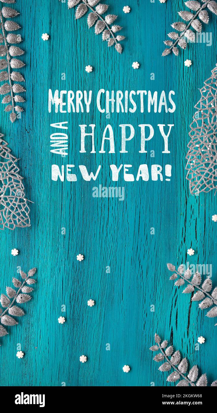 Silver minimal Christmas background with sugar stars and exotic fern ...