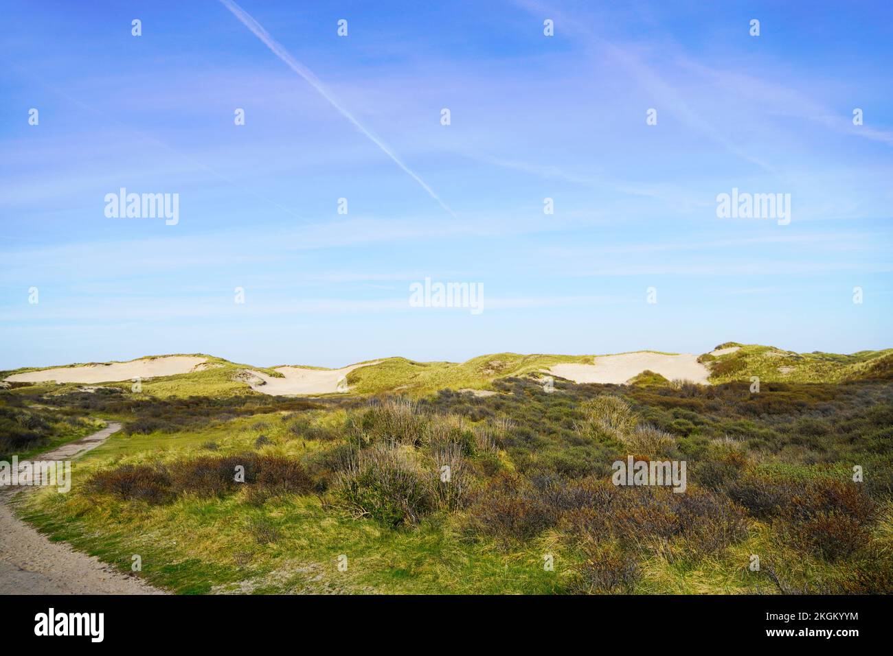 Dune landscape at the Dutch North Sea coast. Nature reserve ...