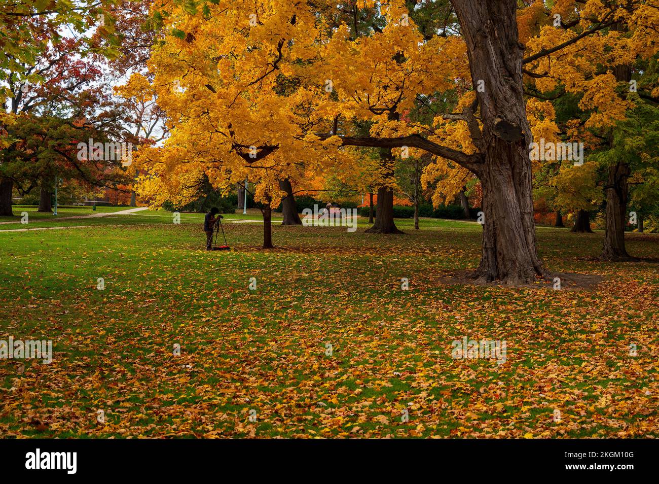 East Lansing MI - October 29, 2022: Photographer taking images of Fall ...