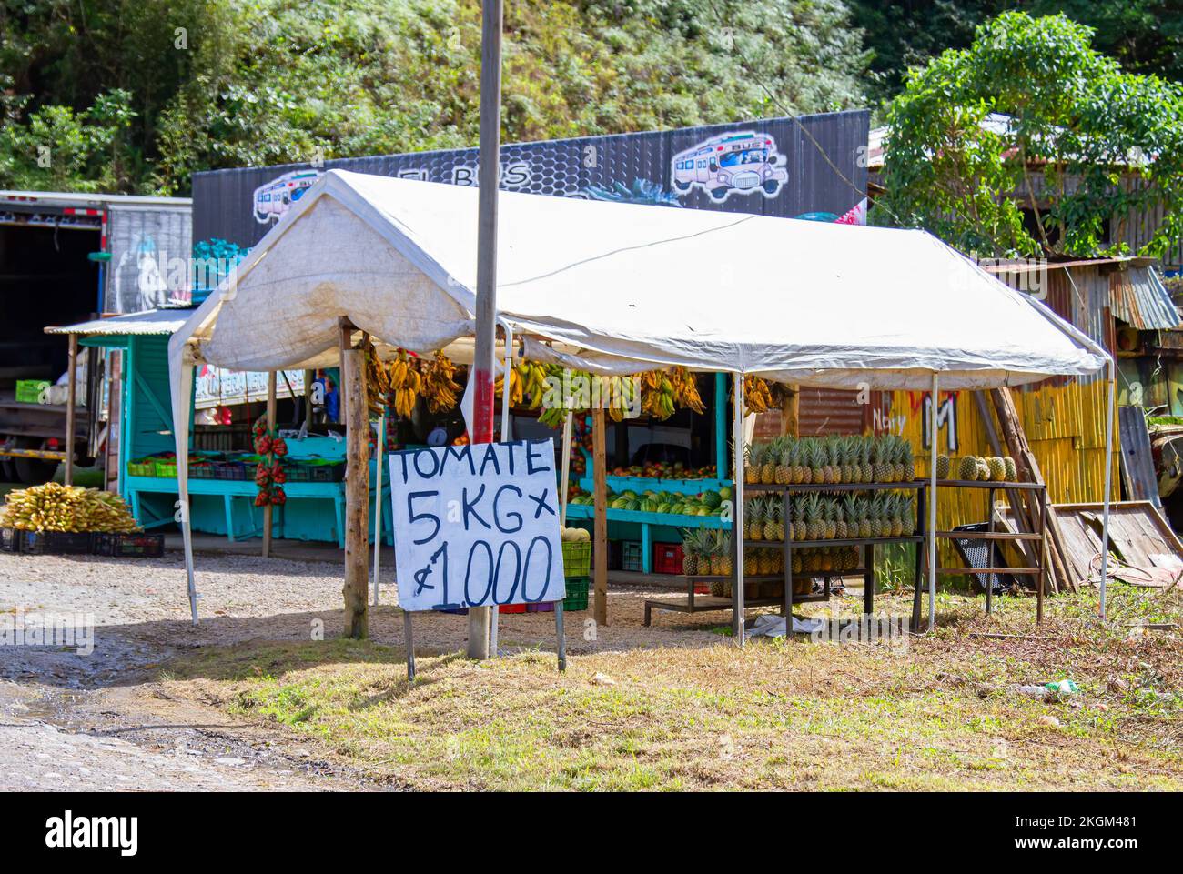 Local fruit and vegetable stand along the road in Costa Rica Stock ...