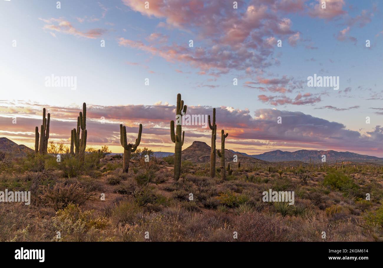 Arizona Desert Sunset Landscapw Stock Photo - Alamy