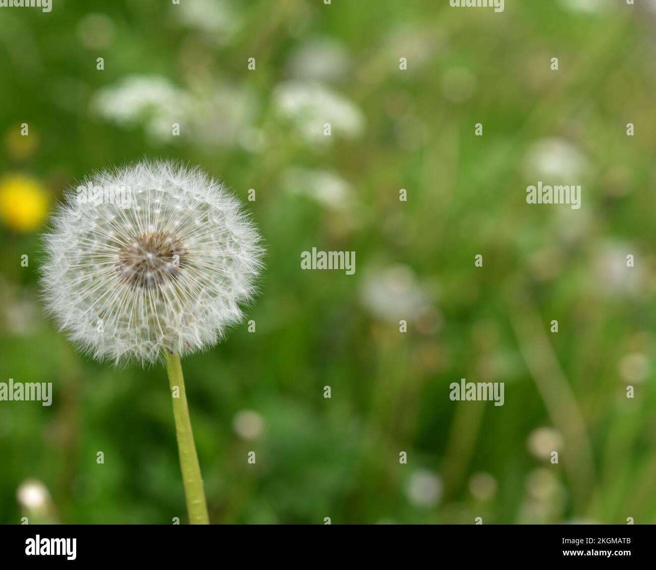 From everyday life hi-res stock photography and images - Alamy