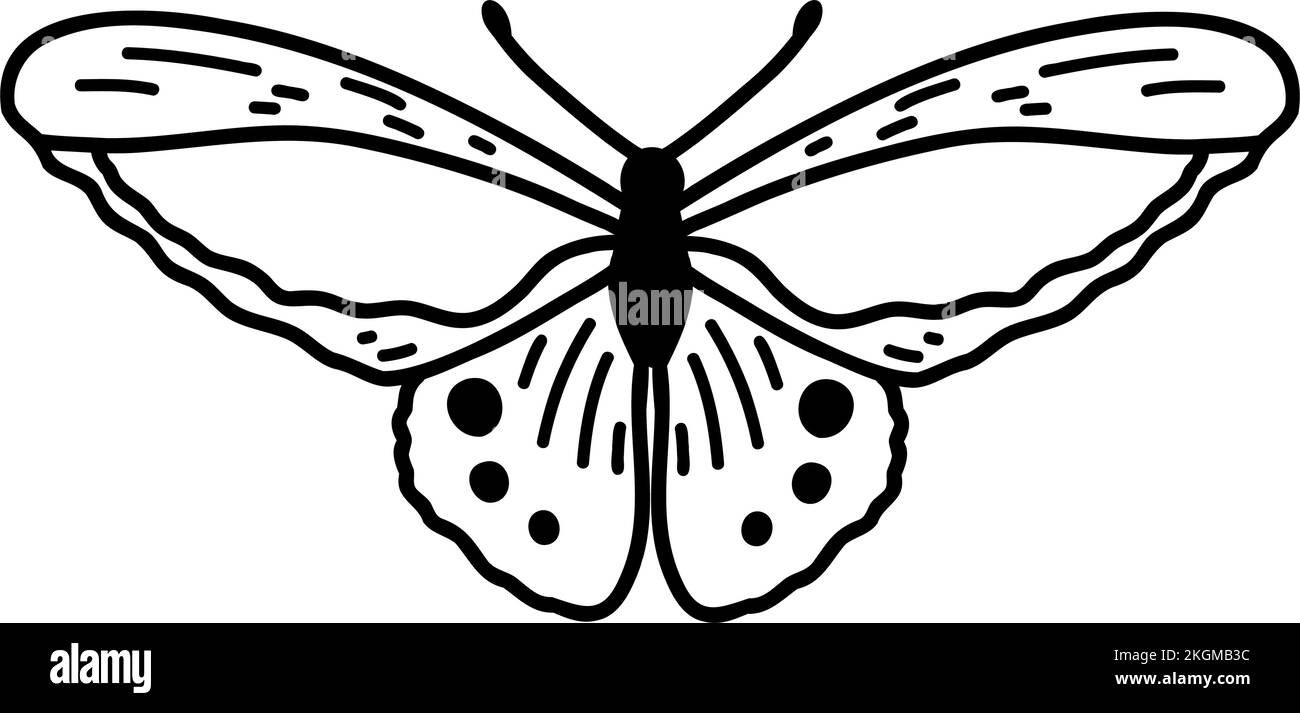 Hand drawn doodle butterfly. Vector sketch illustration, black outline ...
