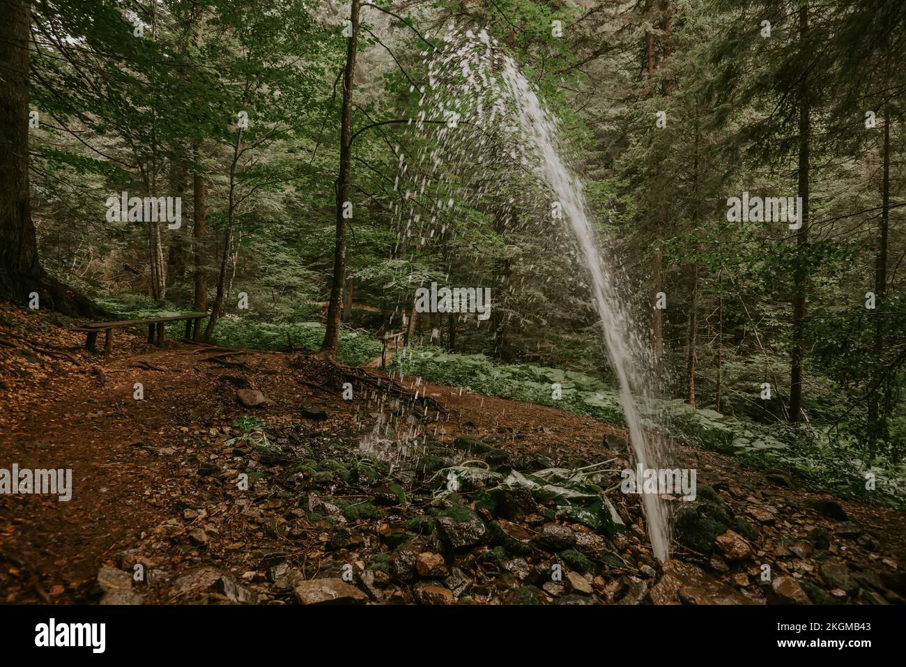 Metodje Geyser in Kopaonik National Park Stock Photo - Alamy