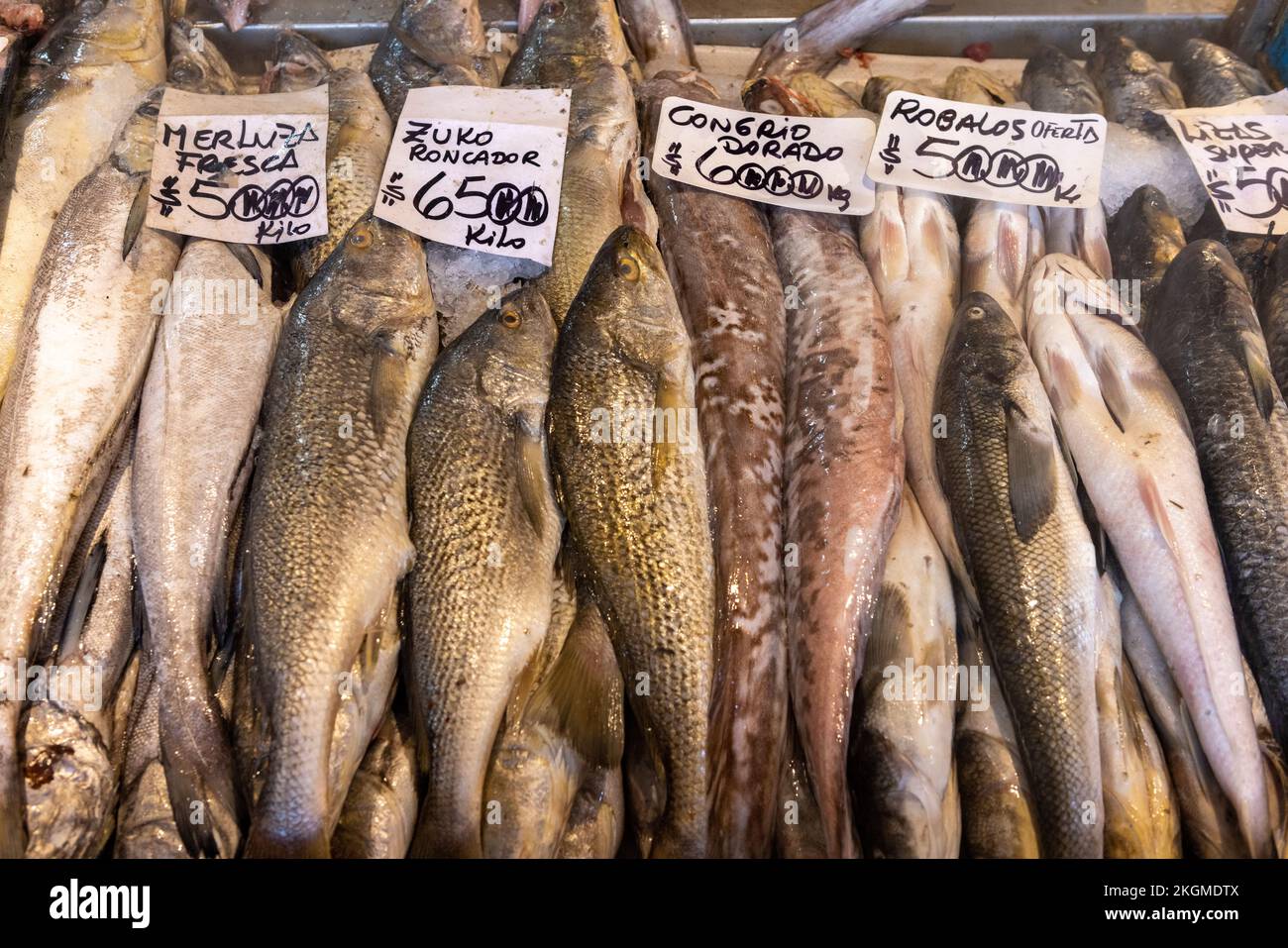 Fresh fish at the Central Market (Mercado Central) in Santiago de Chile ...