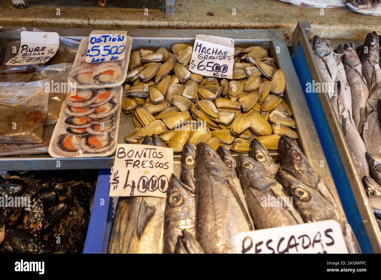 Selection of fish and seafood at the Central Market (Mercado Central ...