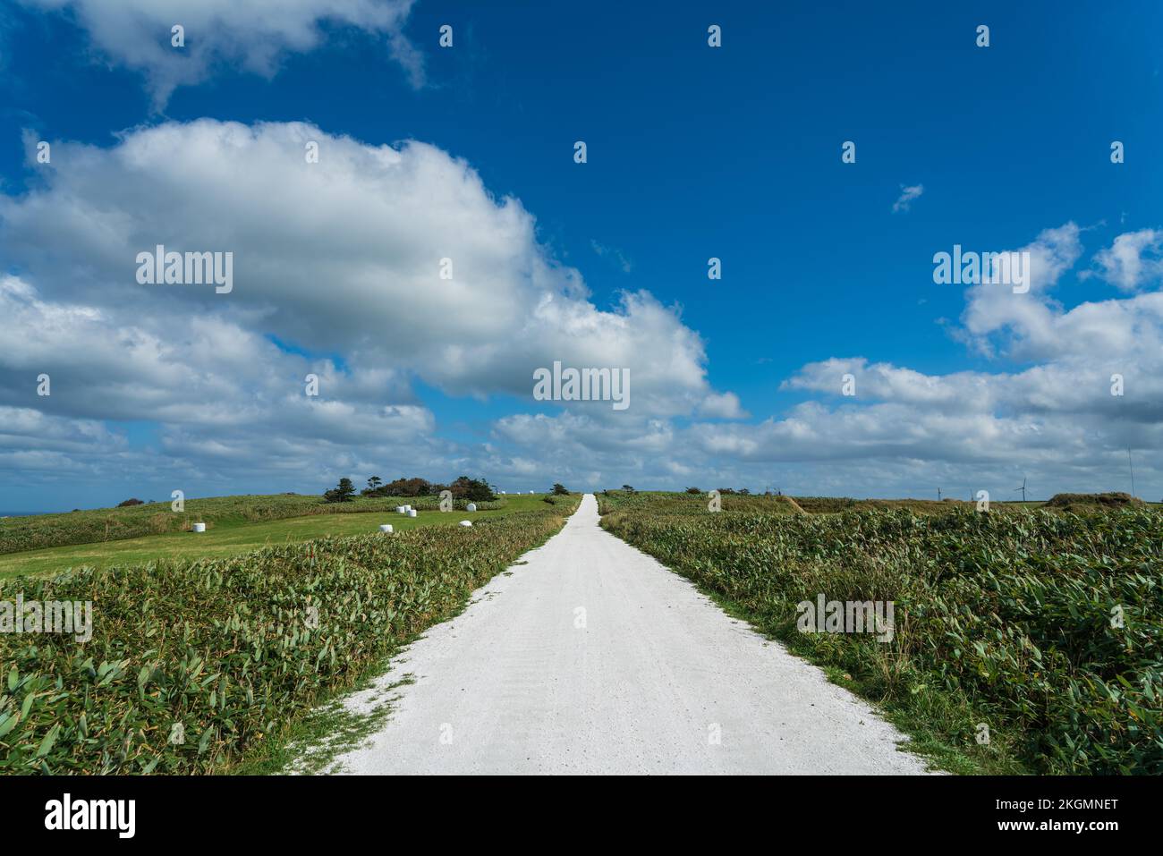 White Shell Road in Soya Hills in Hokkaido, Japan Stock Photo - Alamy