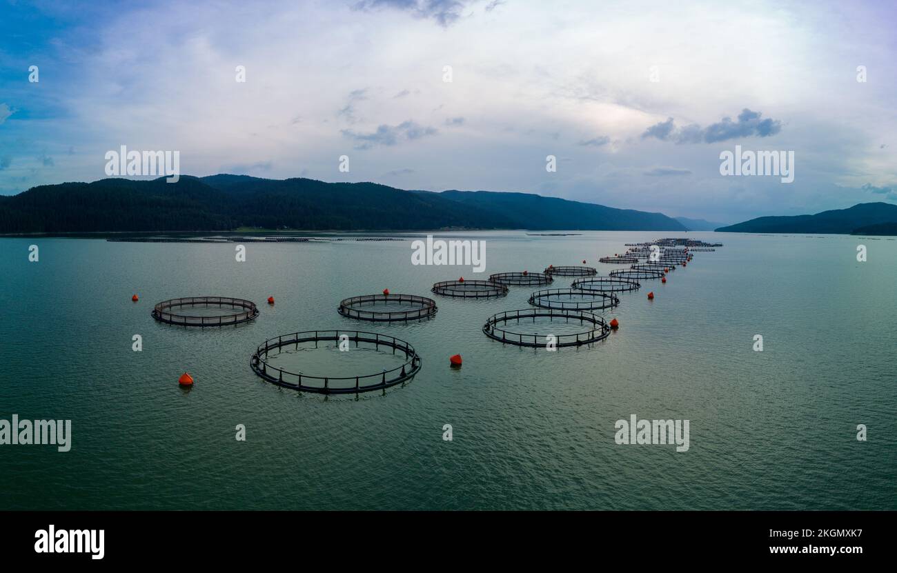 Breeding of freshwater fish in lake with round nets. Rhodope mountains ...