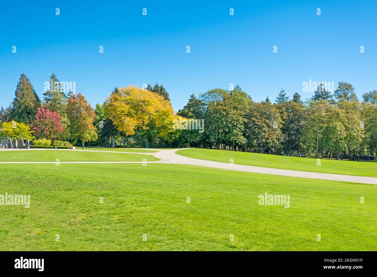 Wide open pathway with trees hi-res stock photography and images - Alamy