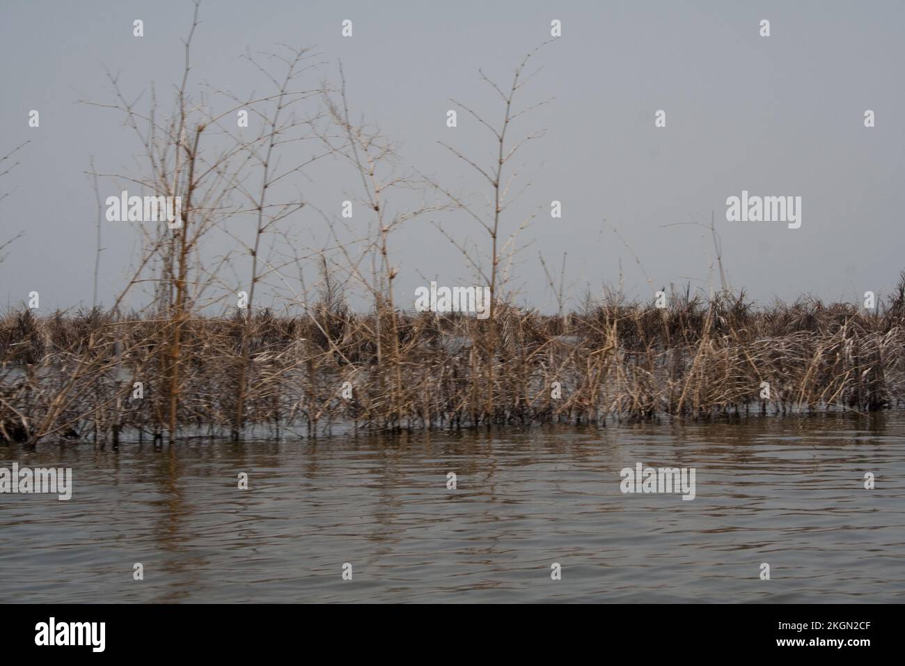 Life on the water hedges between properties hi-res stock photography ...