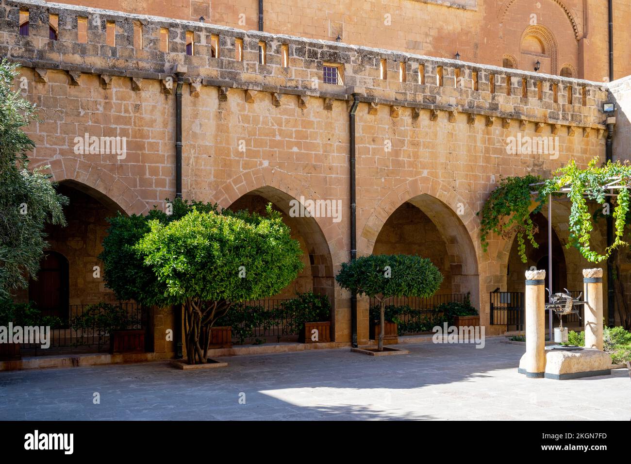 Zafaran hi-res stock photography and images - Alamy