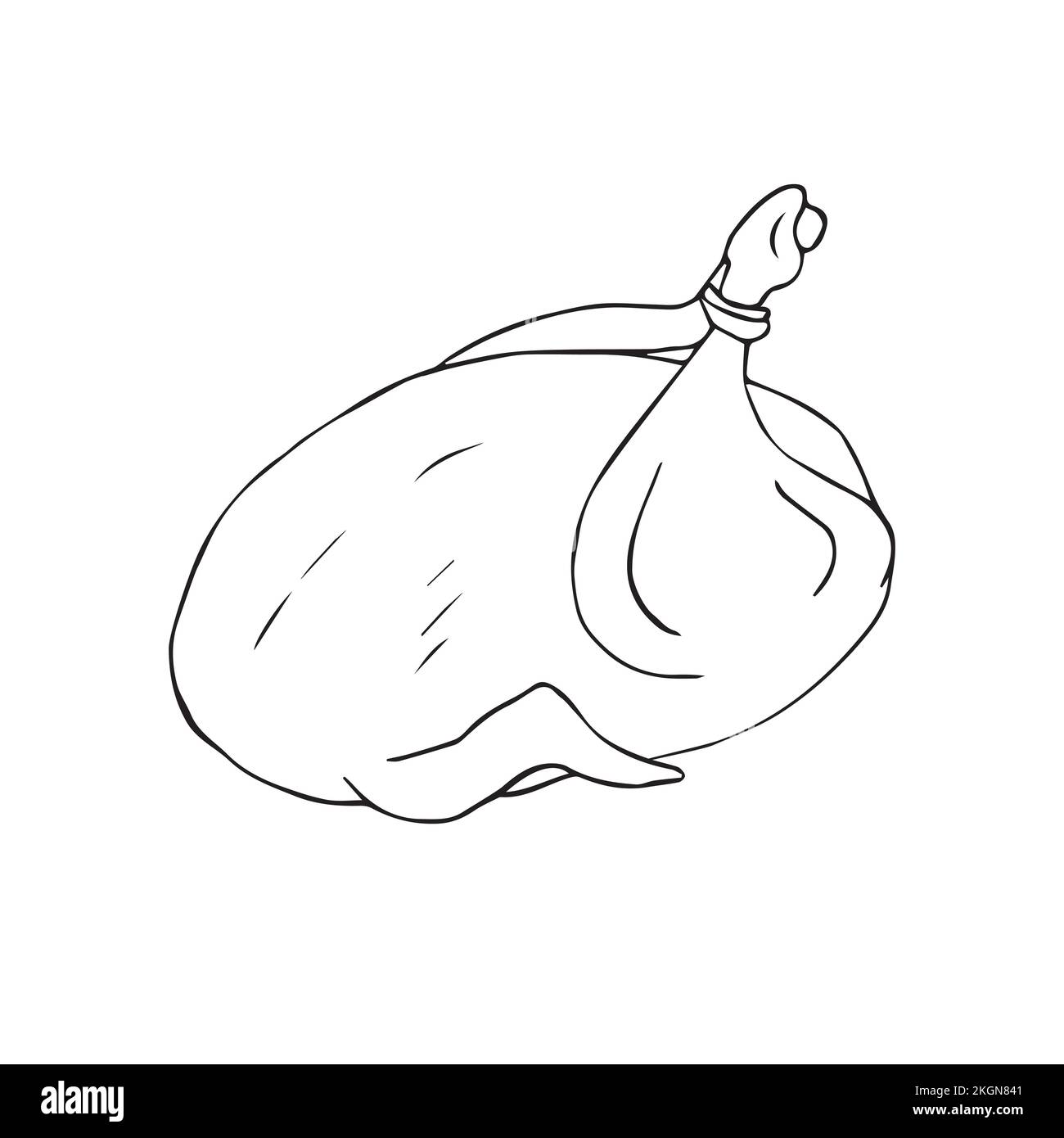 Vector hand drawn doodle sketch turkey isolated on white background Stock Vector Image & Art - Alamy