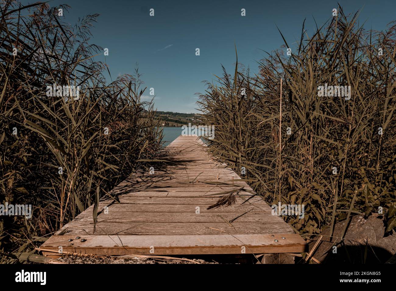 A beautiful pathway to the lake in Sempachersee in Switzerland Stock ...