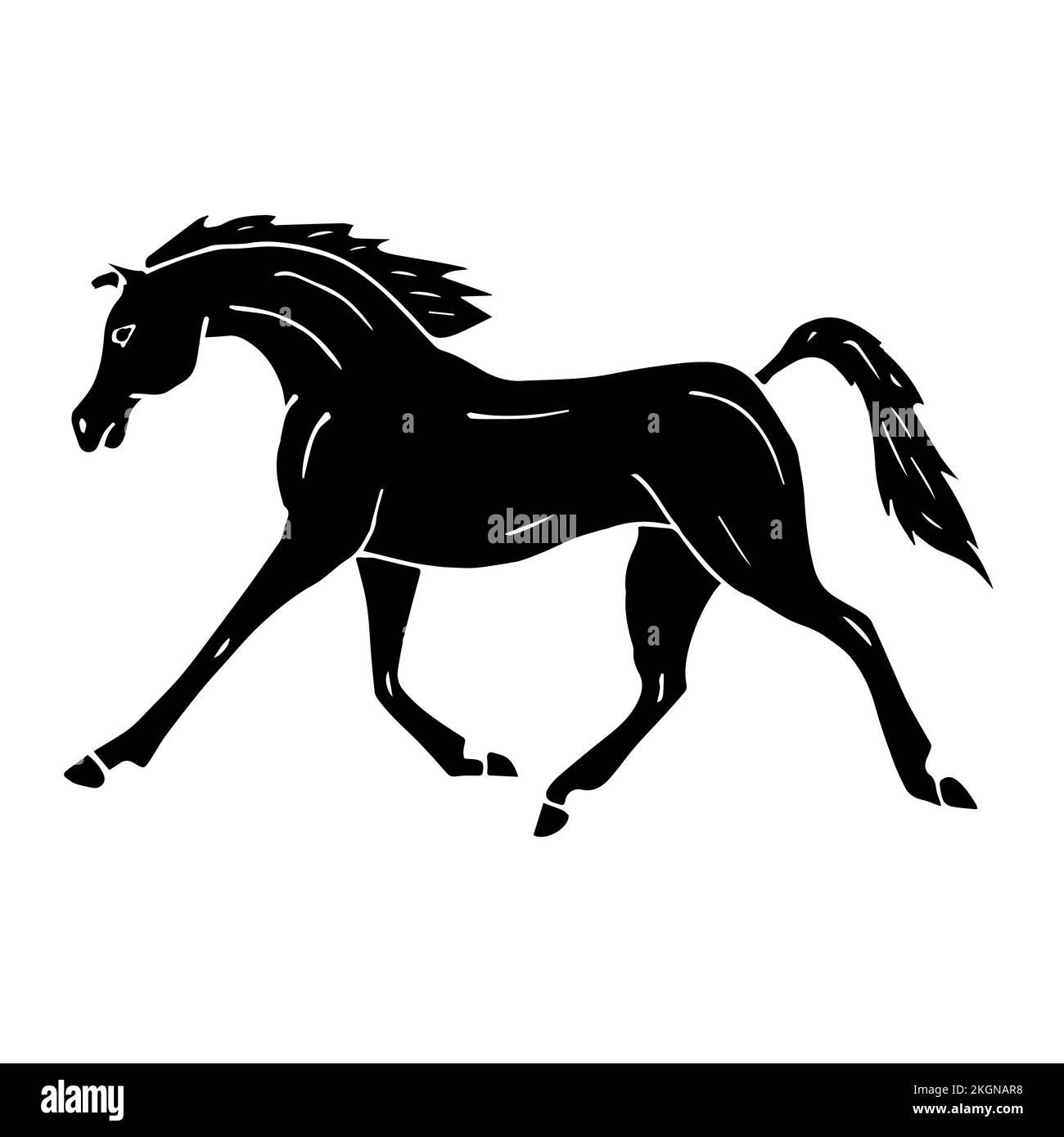 Vector hand drawn doodle sketch black Arabian horse isolated on white ...