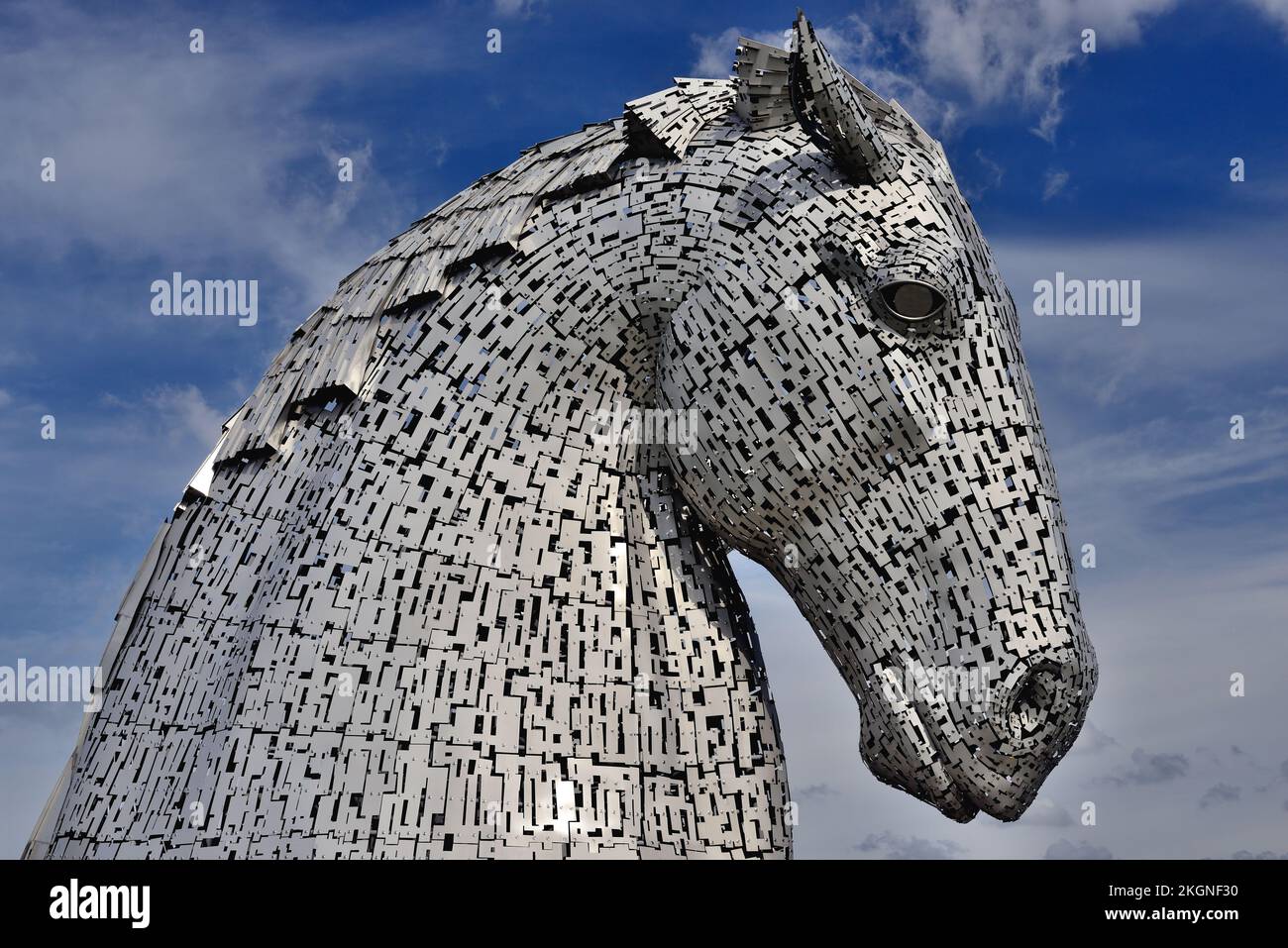 Duke, one of the Kelpies at The Helix country park, Falkirk, Scotland ...