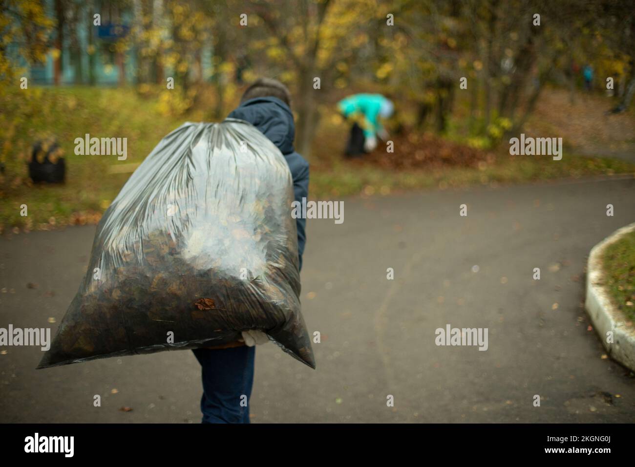 Man carries bag of garbage. Guy takes away bag of leaves. Yard cleaning ...
