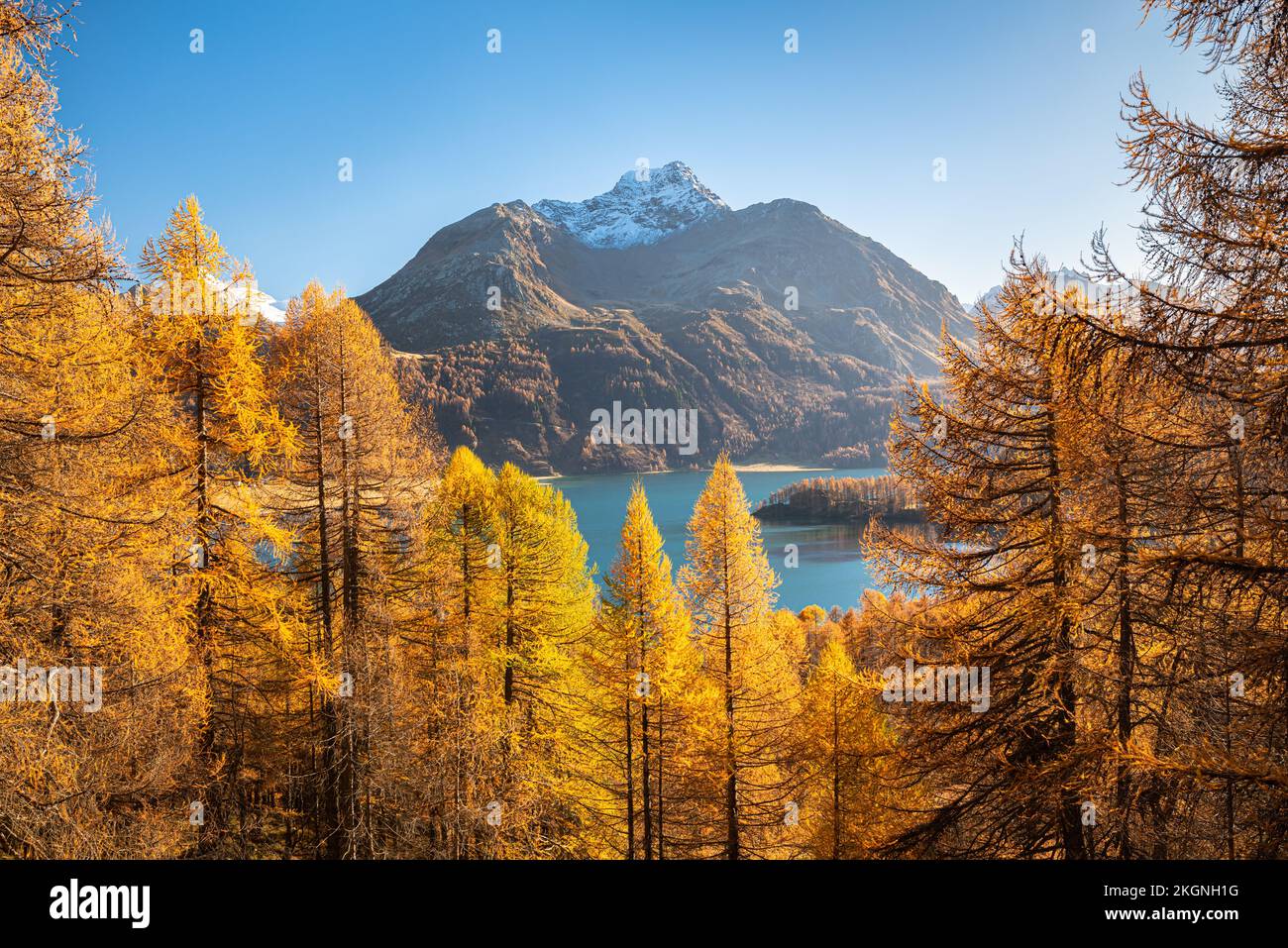 God dal crot hi-res stock photography and images - Alamy