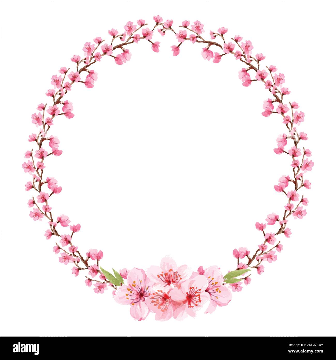 Branches of flowering apricots Stock Vector Images - Alamy