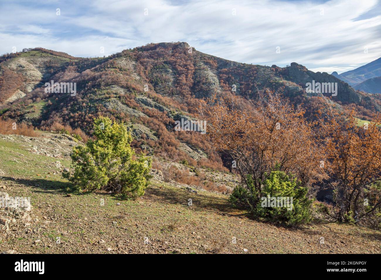 Amazing view of Rhodope Mountains near Borovitsa River, Bulgaria Stock ...