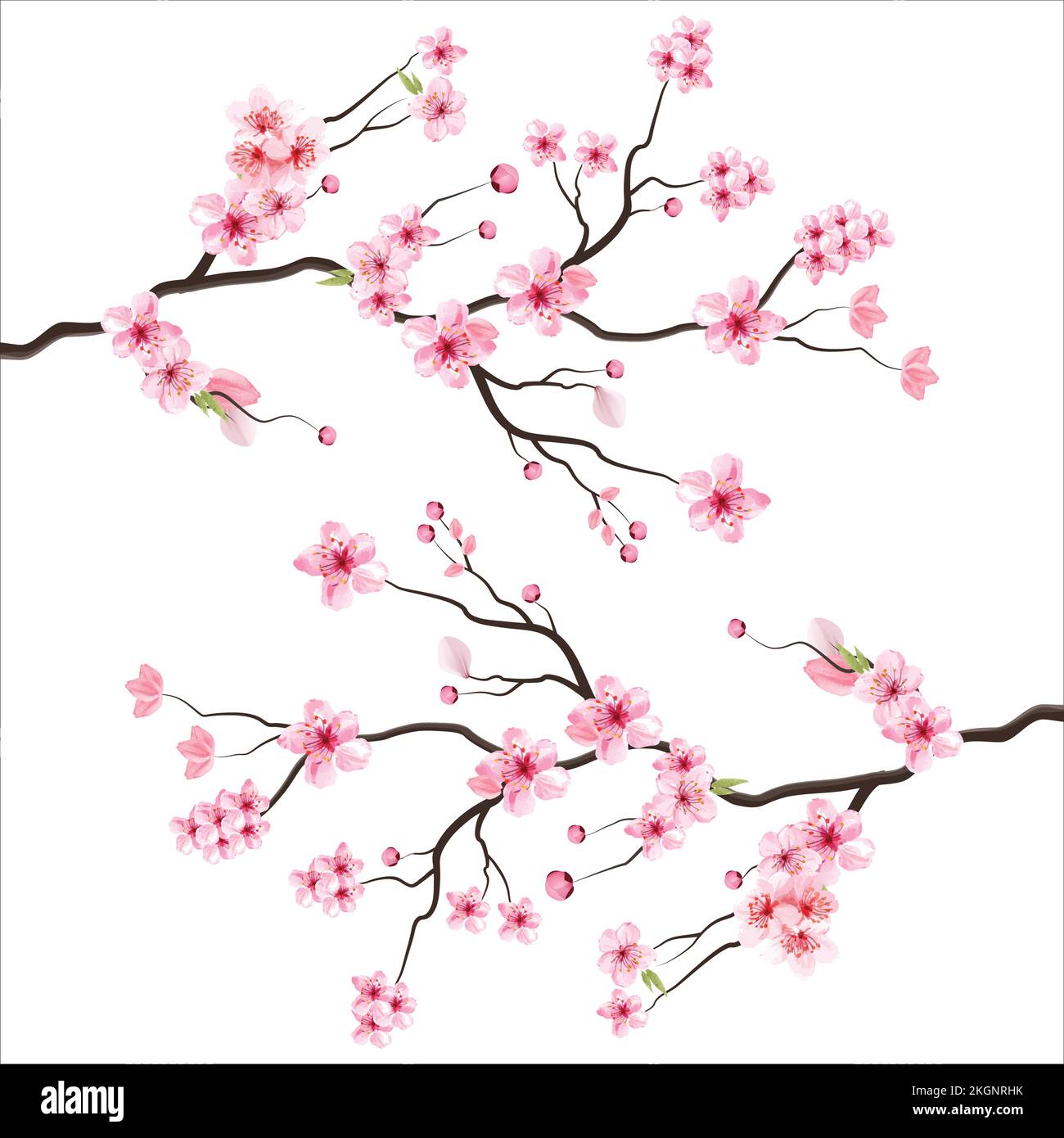 branch tree vector illustration summer clipart autumn clipart nature ...