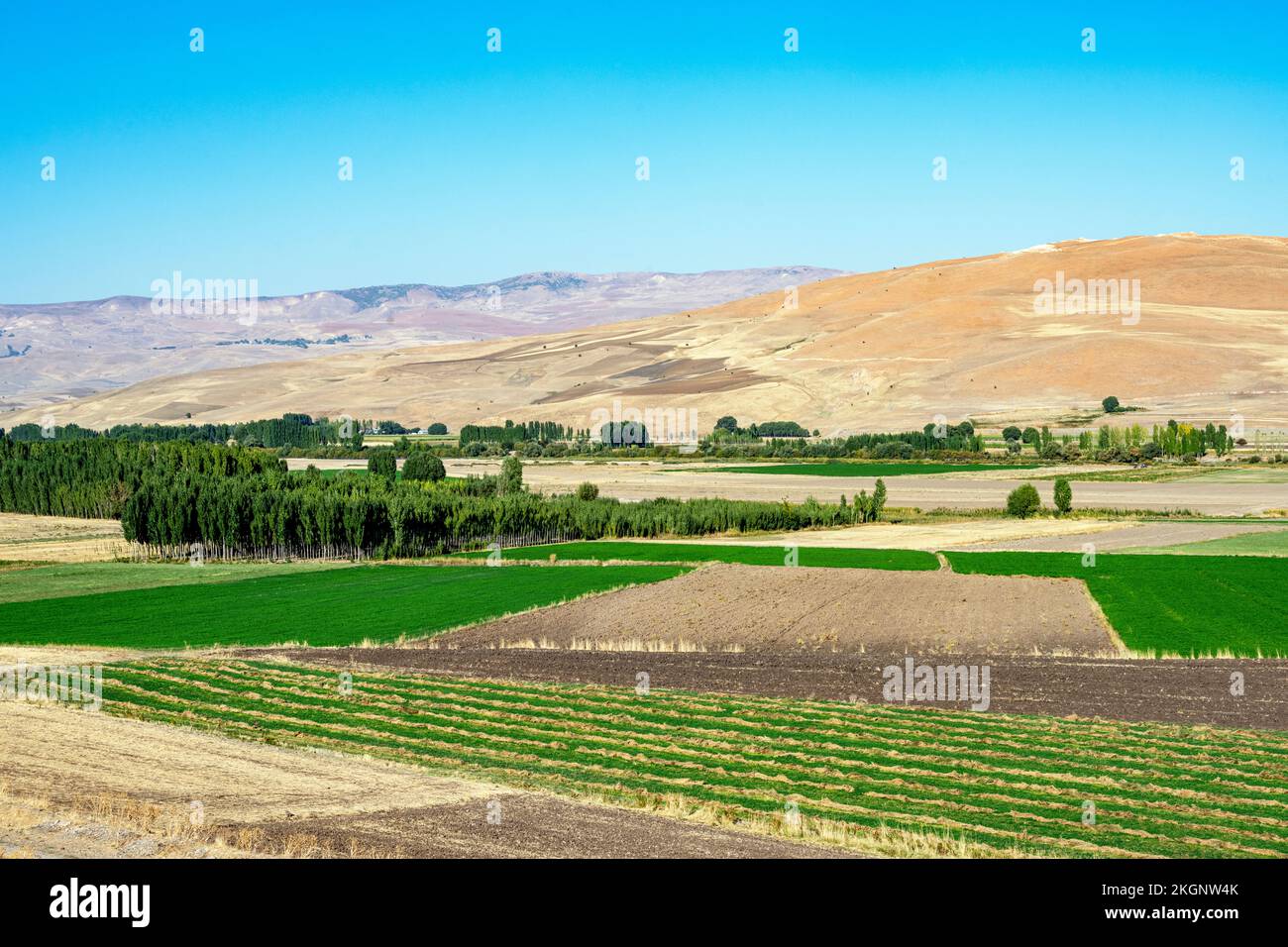 Mus general view hi-res stock photography and images - Alamy