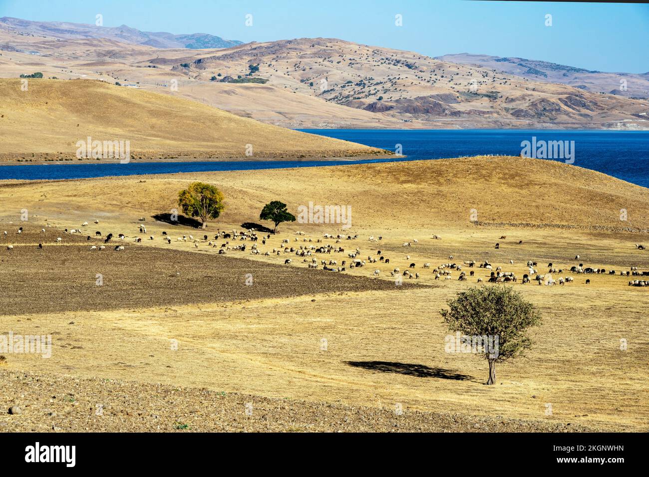 Asien, Türkei, Provinz Mus, Alpaslan-2 Stausee des Murat, einem ...