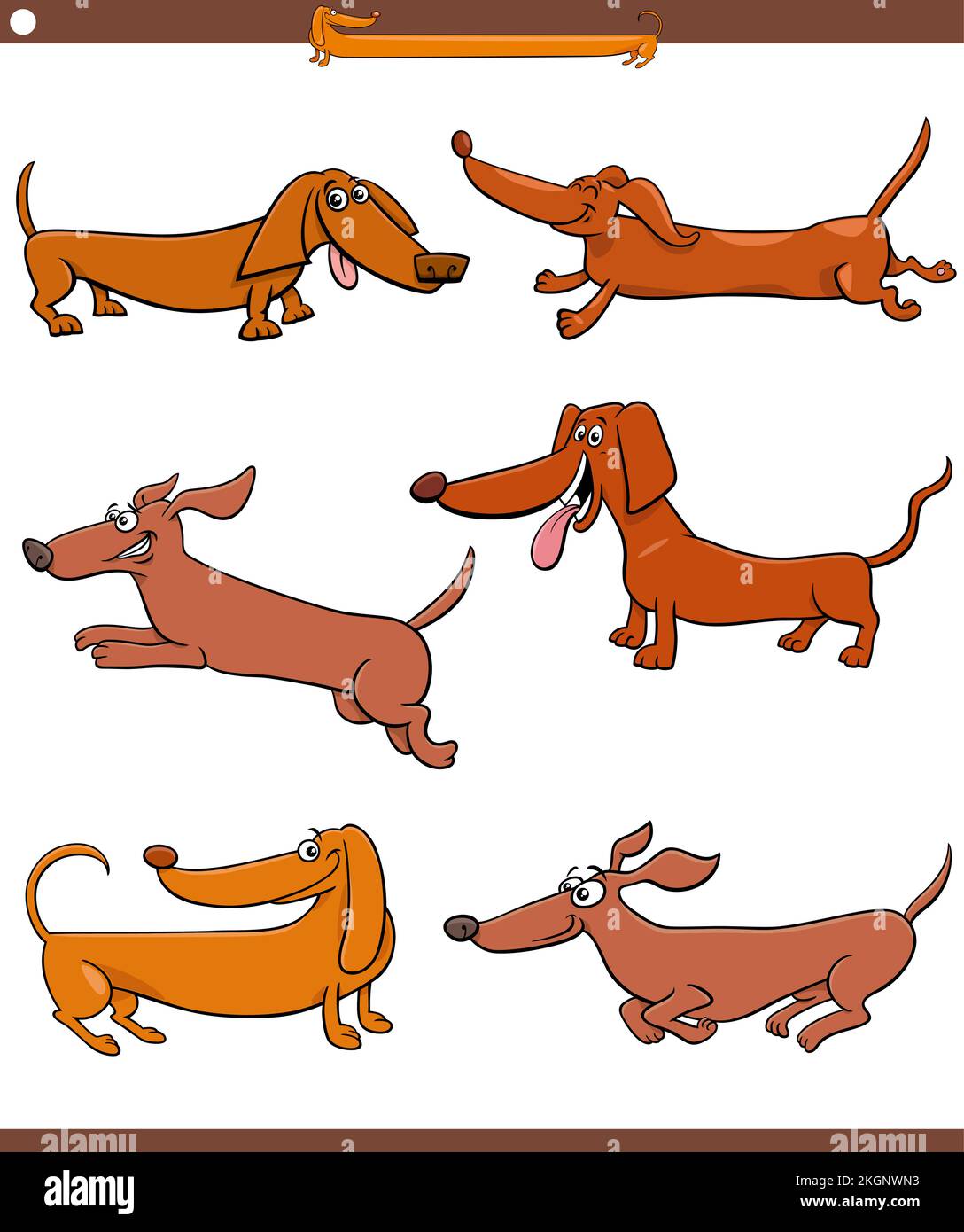 Cartoon illustration of dachshunds purebred dogs funny comic animal ...