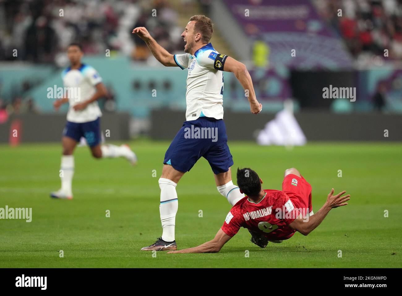 England iran qatar november 21 kane hi-res stock photography and images ...