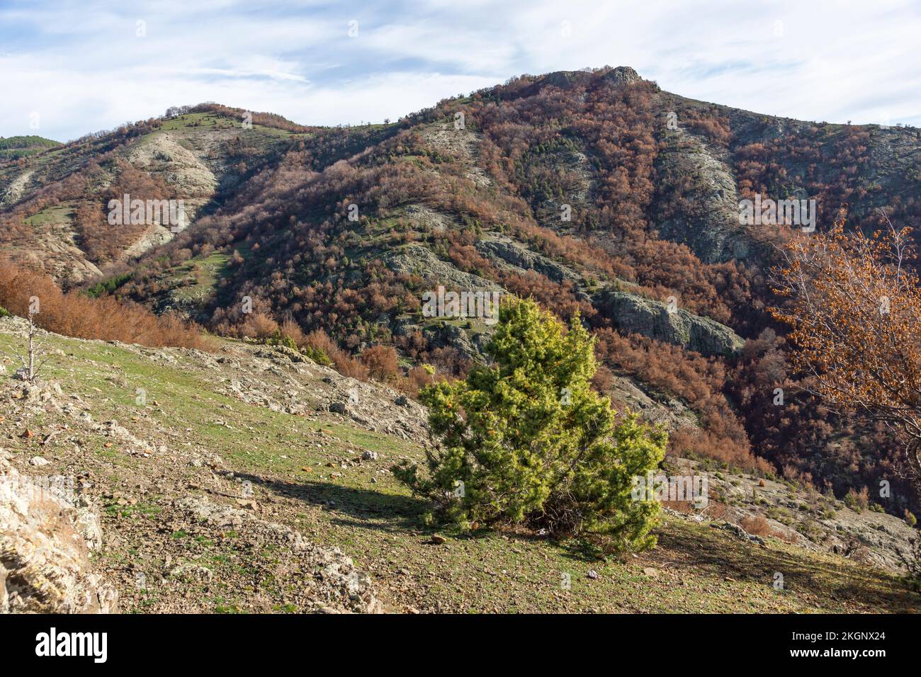 Amazing view of Rhodope Mountains near Borovitsa River, Bulgaria Stock ...