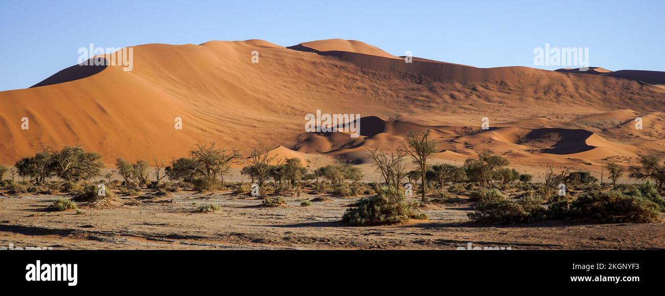 A mesmerizing scene of a salt and clay pan surrounded by high red dunes ...