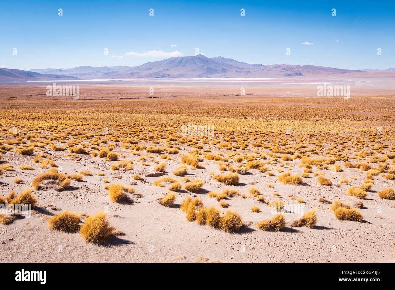 Bolivian High Plains landscape with the Laguna Colorada in the ...