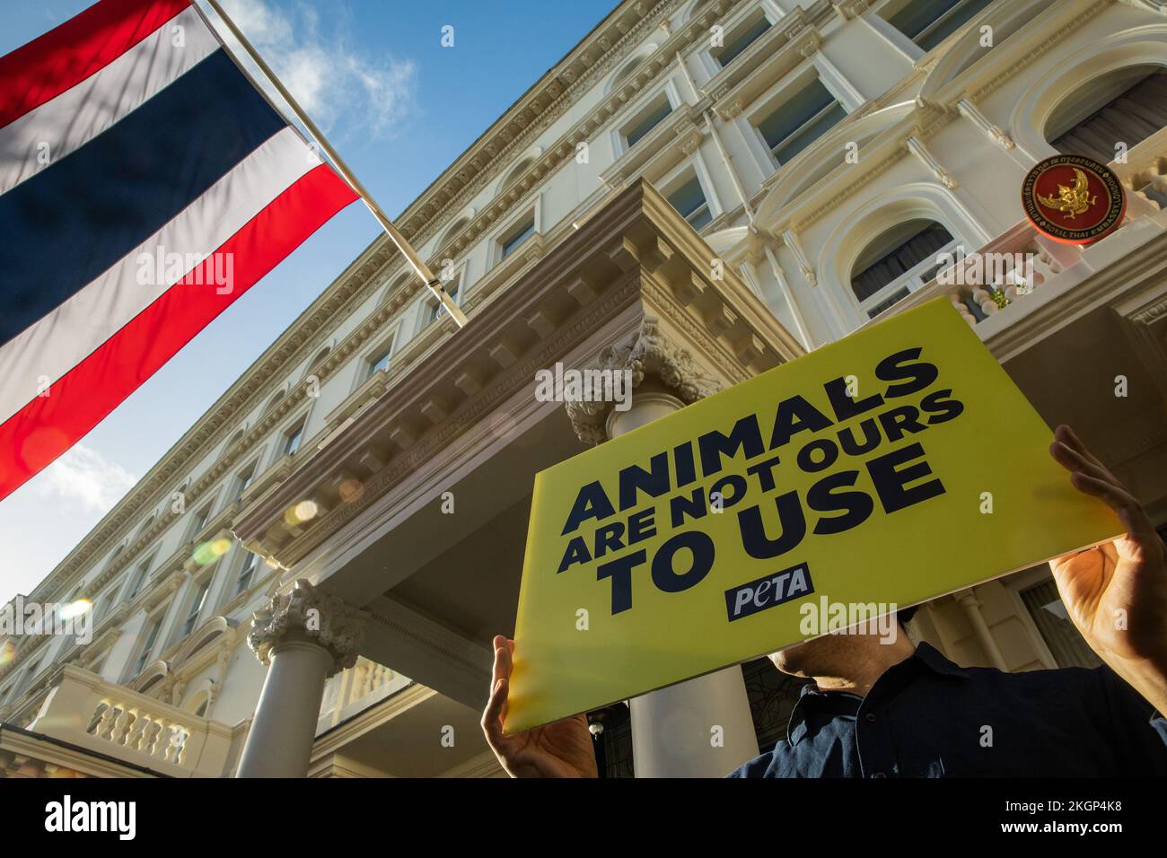 London, UK. 23rd November, 2022. A PETA supporter holds up a sign ...
