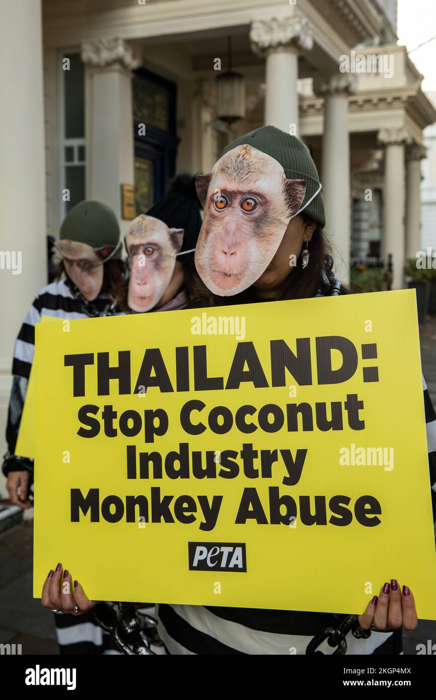 London, UK. 23rd November, 2022. PETA supporters dressed as chained ...