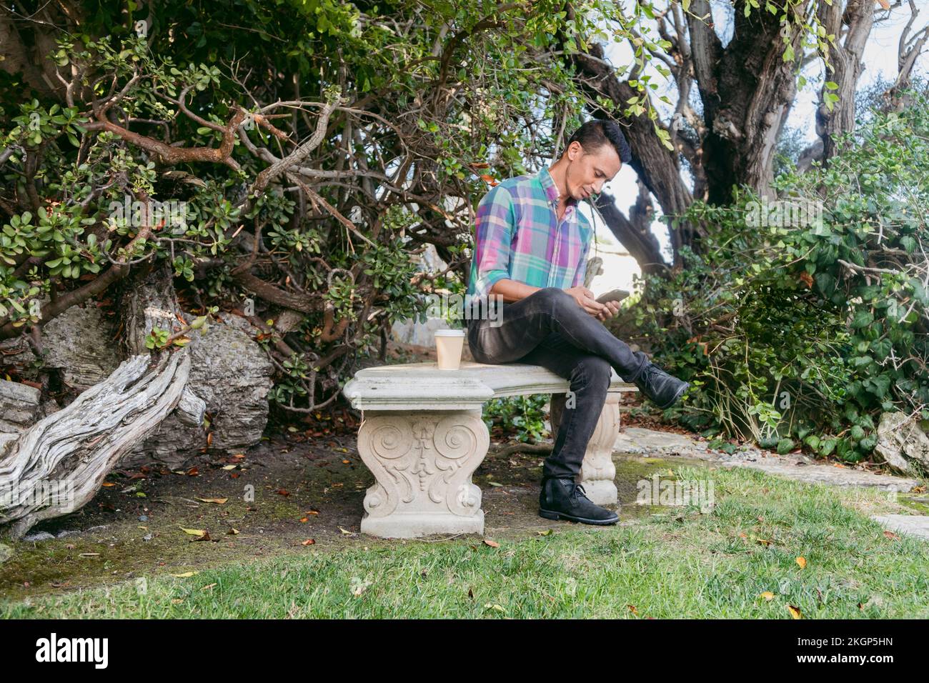 Man sitting on bench using smart phone in park Stock Photo - Alamy