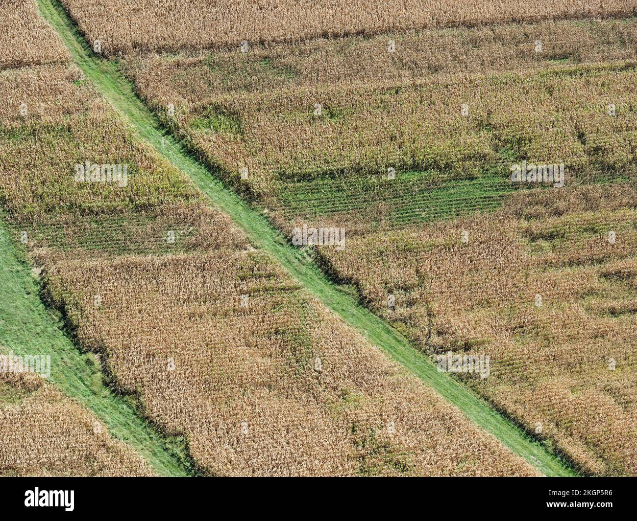 Rotational cultivation hi-res stock photography and images - Alamy
