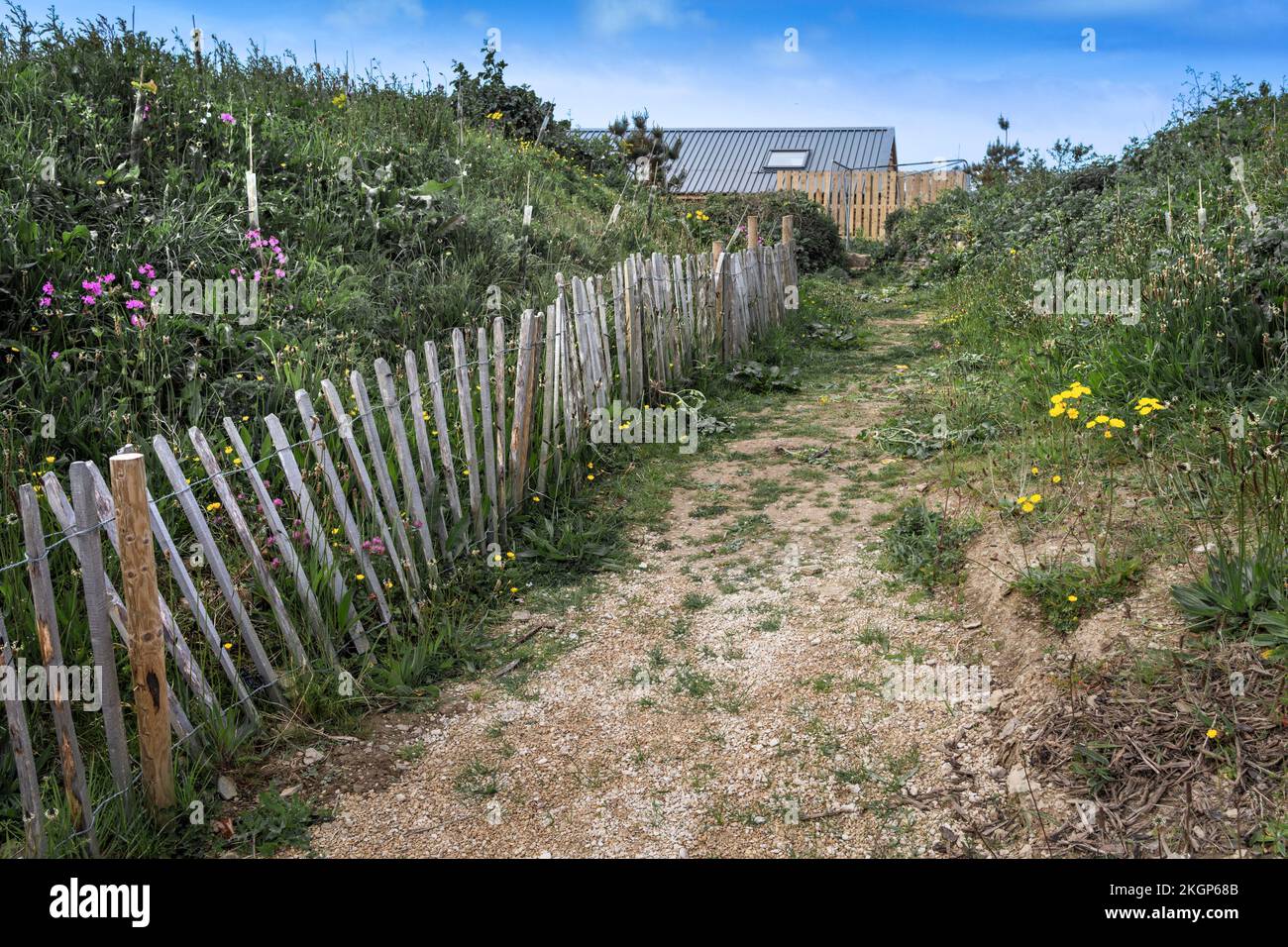 A rough path in Newquay Orchard a community initiative in Newquay in ...