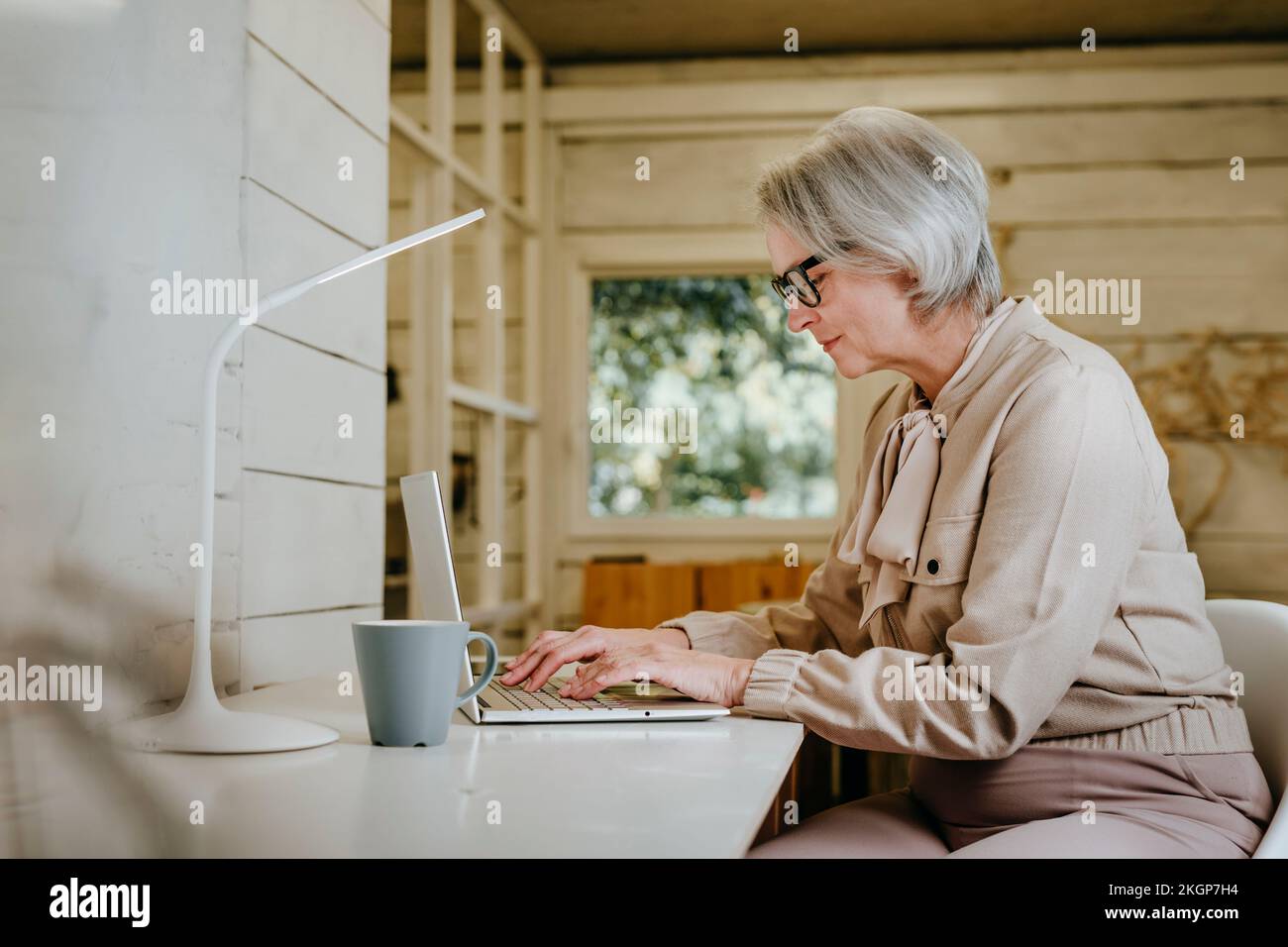 Businesswoman using laptop at desk in office Stock Photo - Alamy