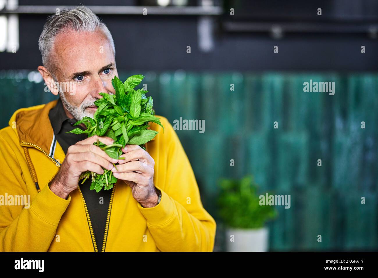 Mature basil hi-res stock photography and images - Alamy